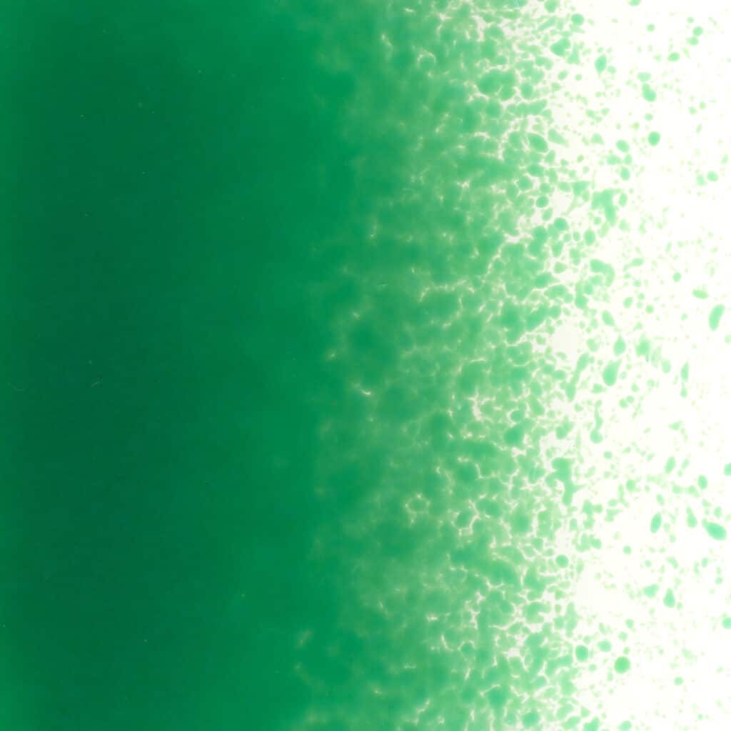 Bullseye Glass | About Our Glass | Jade Green Opalescent (000145)