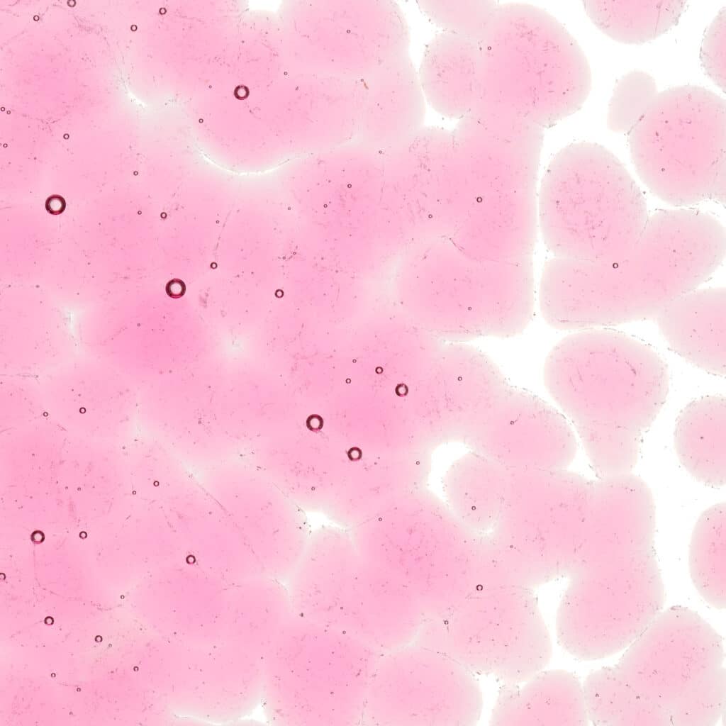 Bullseye Glass | About Our Glass | Ruby Pink Tint (001831)