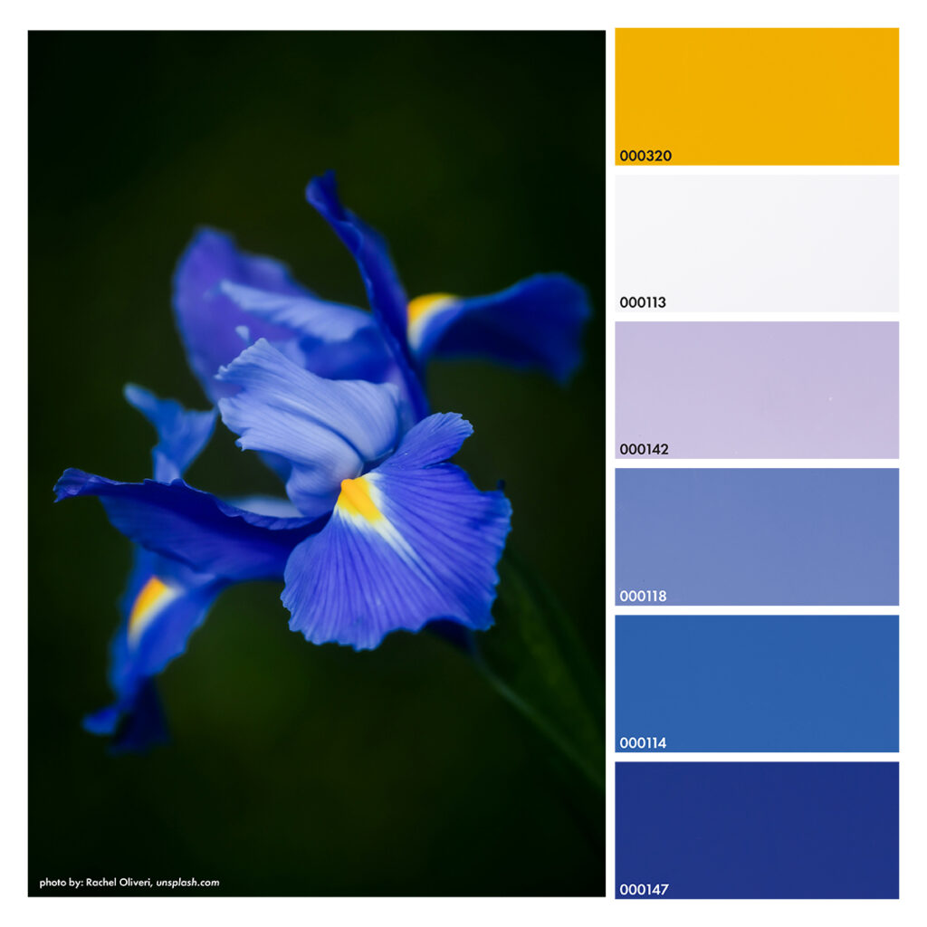 Summer palettes in Bullseye glass, 1-3 | Bullseye Glass